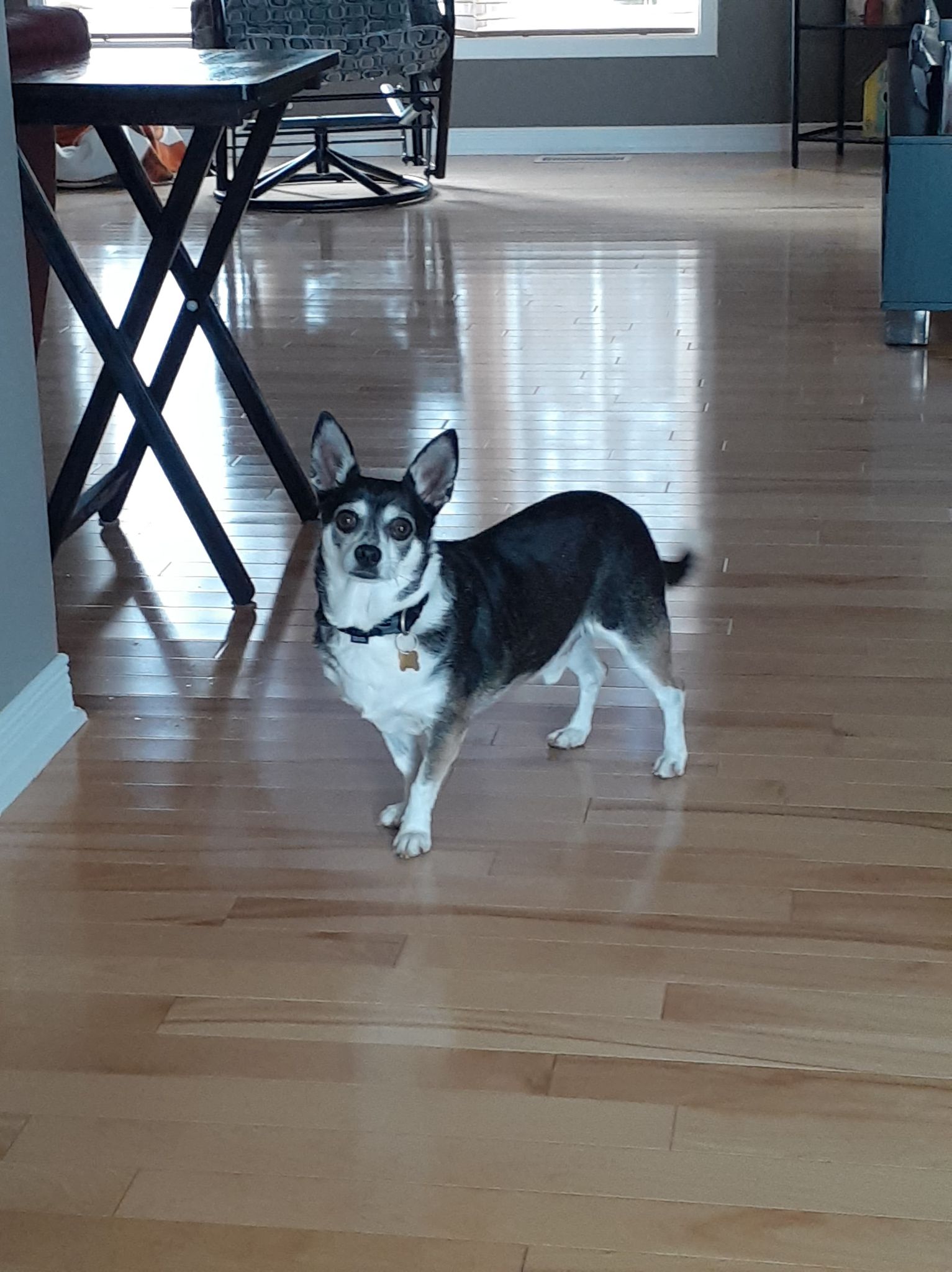 Léo – Full Body 2 – MINPINERIE